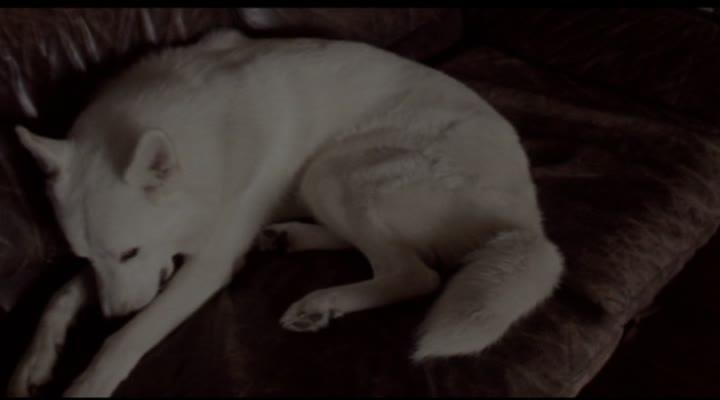 Berry | Video | Demain