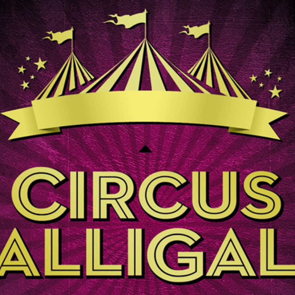 Logotipo De Zirkus Halligalli Pay Attention And React! Junior Halli