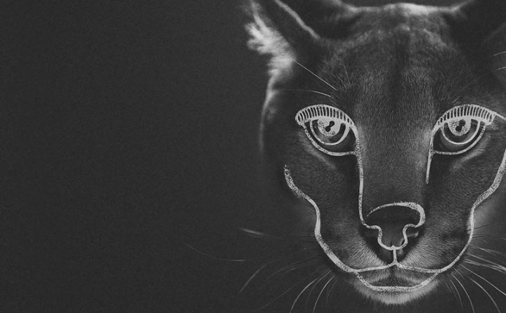 Disclosure | Video | Caracal (Trailer 1)
