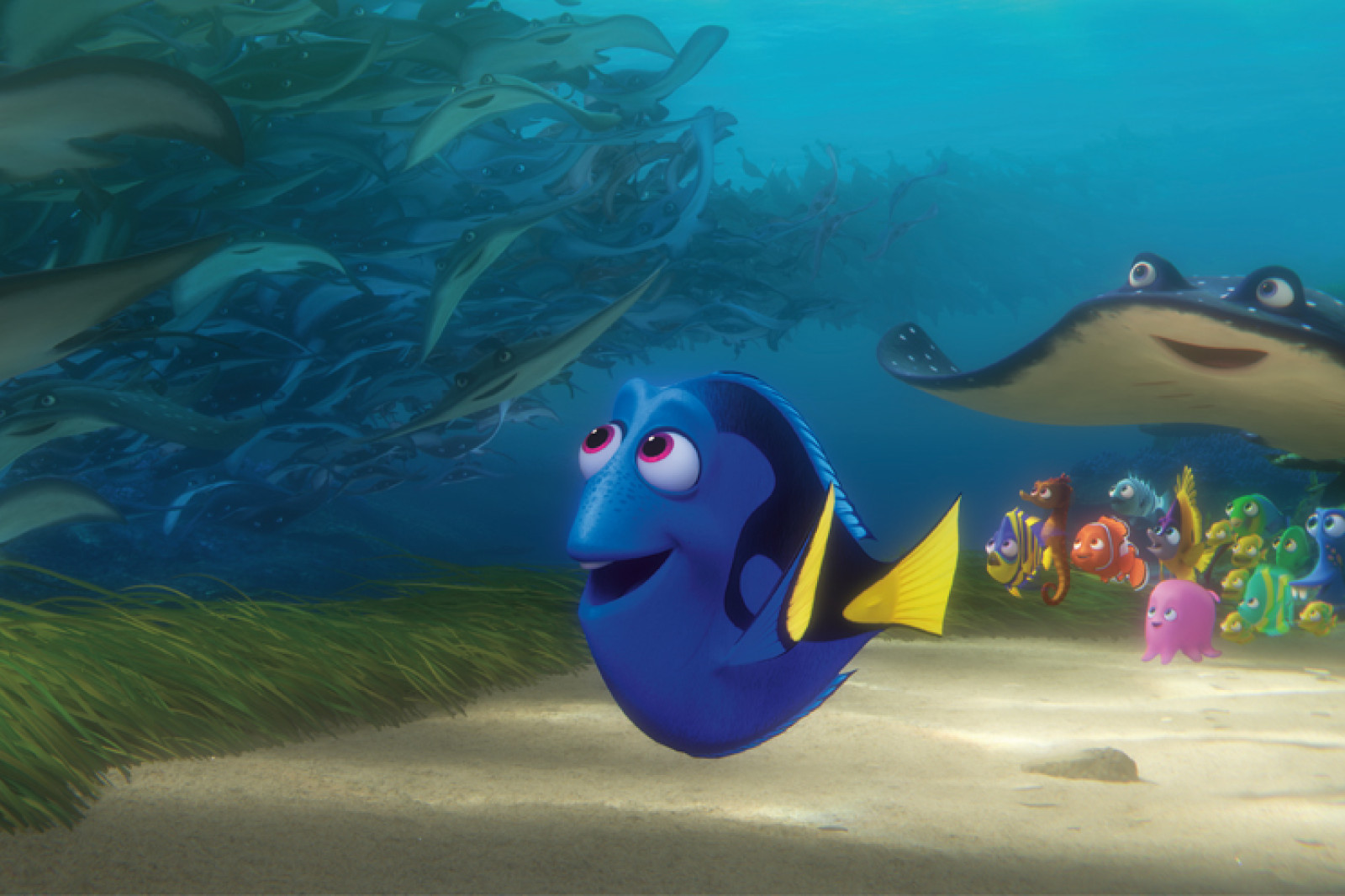 Erfahrt mehr über den liebenswerten Disney-Charakter Dorie | Karussell ...