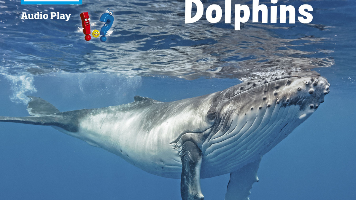 Whales And Dolphins | Karussell - Musik und Hörspiele für Kinder