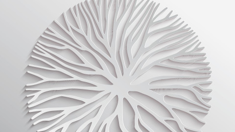 VOCES8 Announce New Album ' A Choral Christmas' Featuring VOCES8 ...