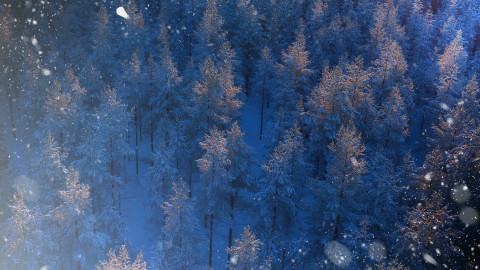 VOCES8 Announce New Album ' A Choral Christmas' Featuring VOCES8 ...