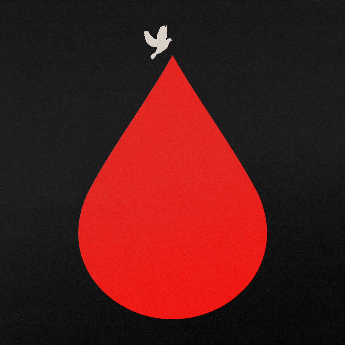 DG Marks the 10th Anniversary of Joep Beving’s Groundbreaking Debut ...