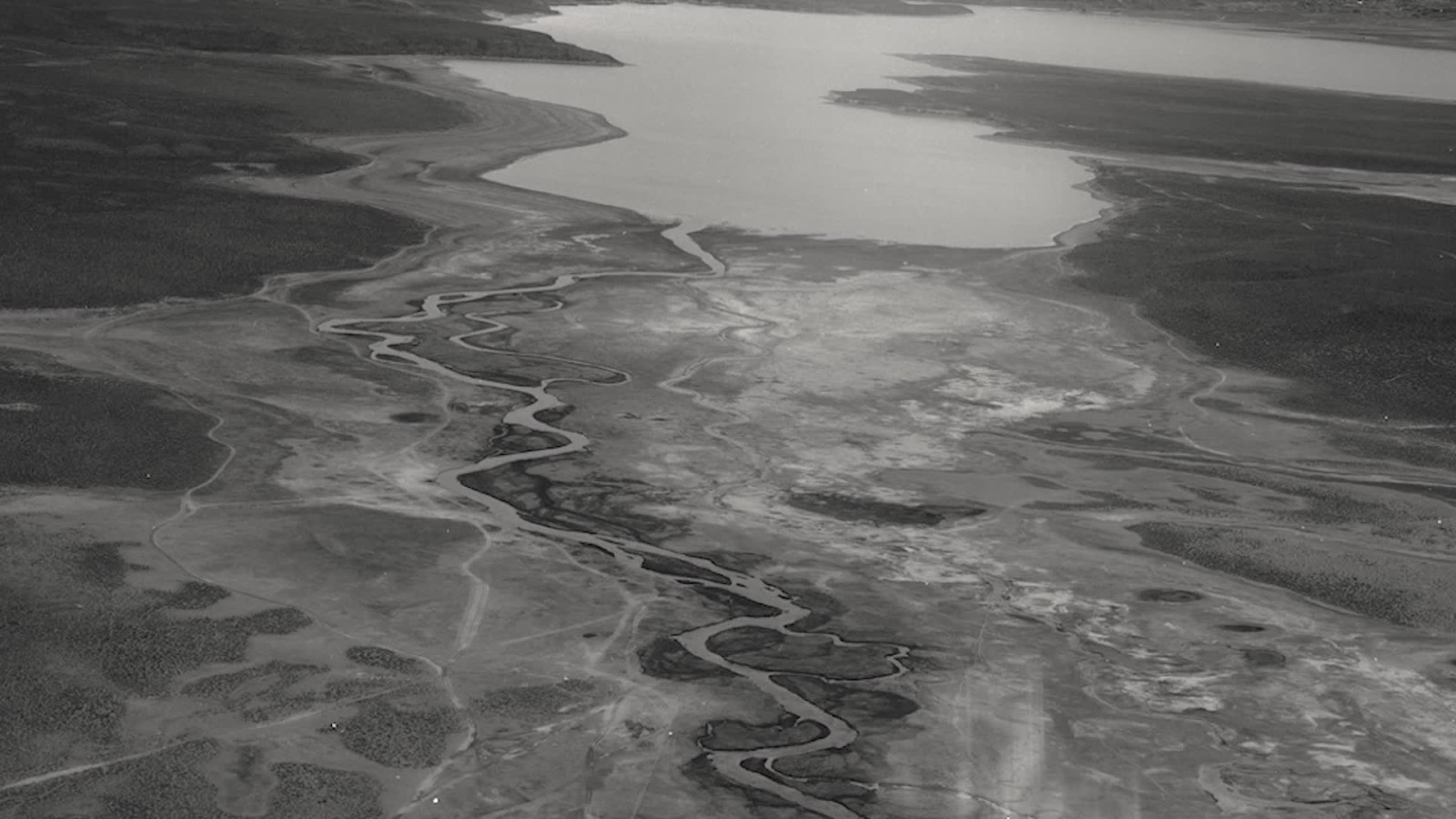 Before Barbed Wire (Visualizer) - Balmorhea | Deutsche Grammophon