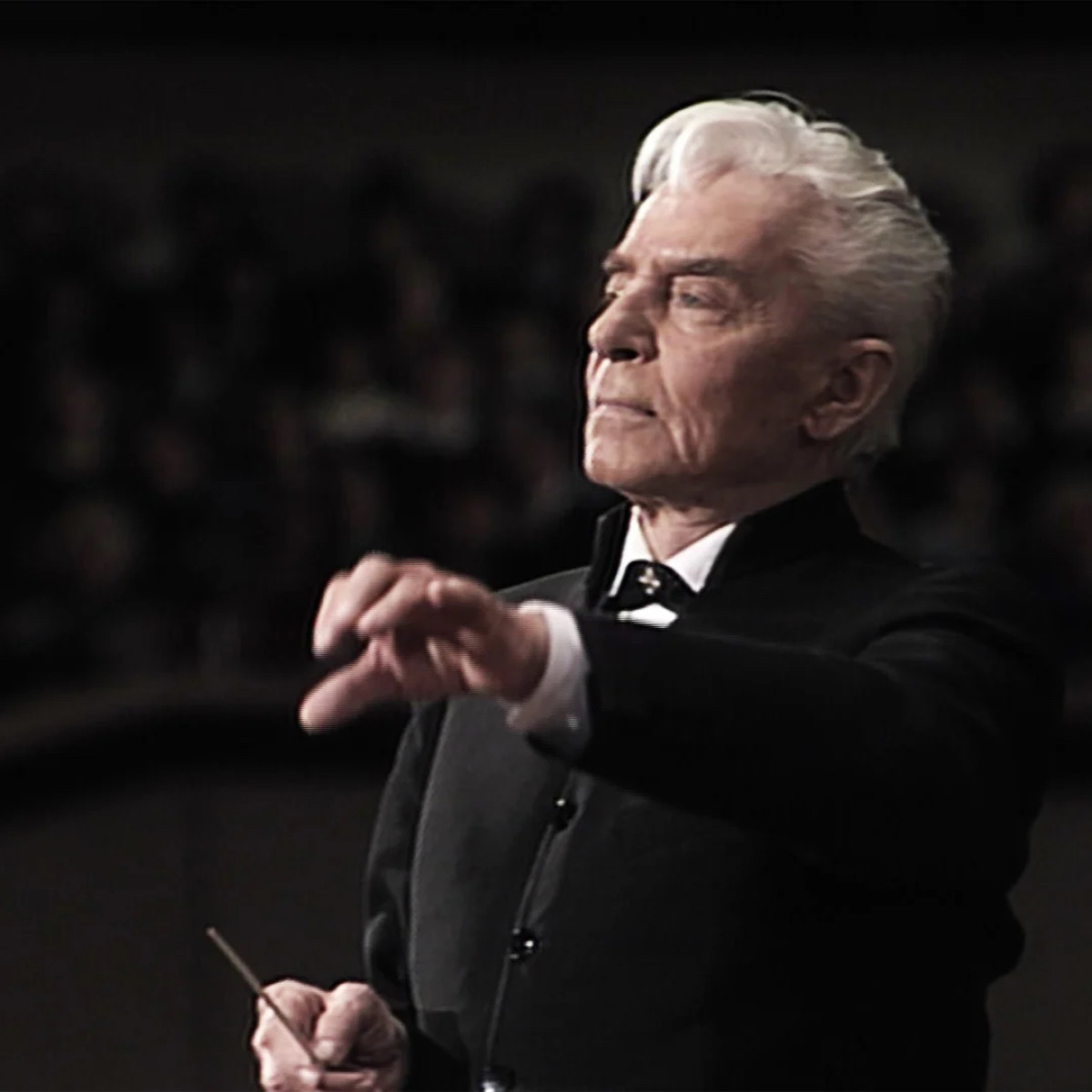 STRAUSS Don Quixote / Meneses, Karajan (Live Performance Video) | Deutsche Grammophon