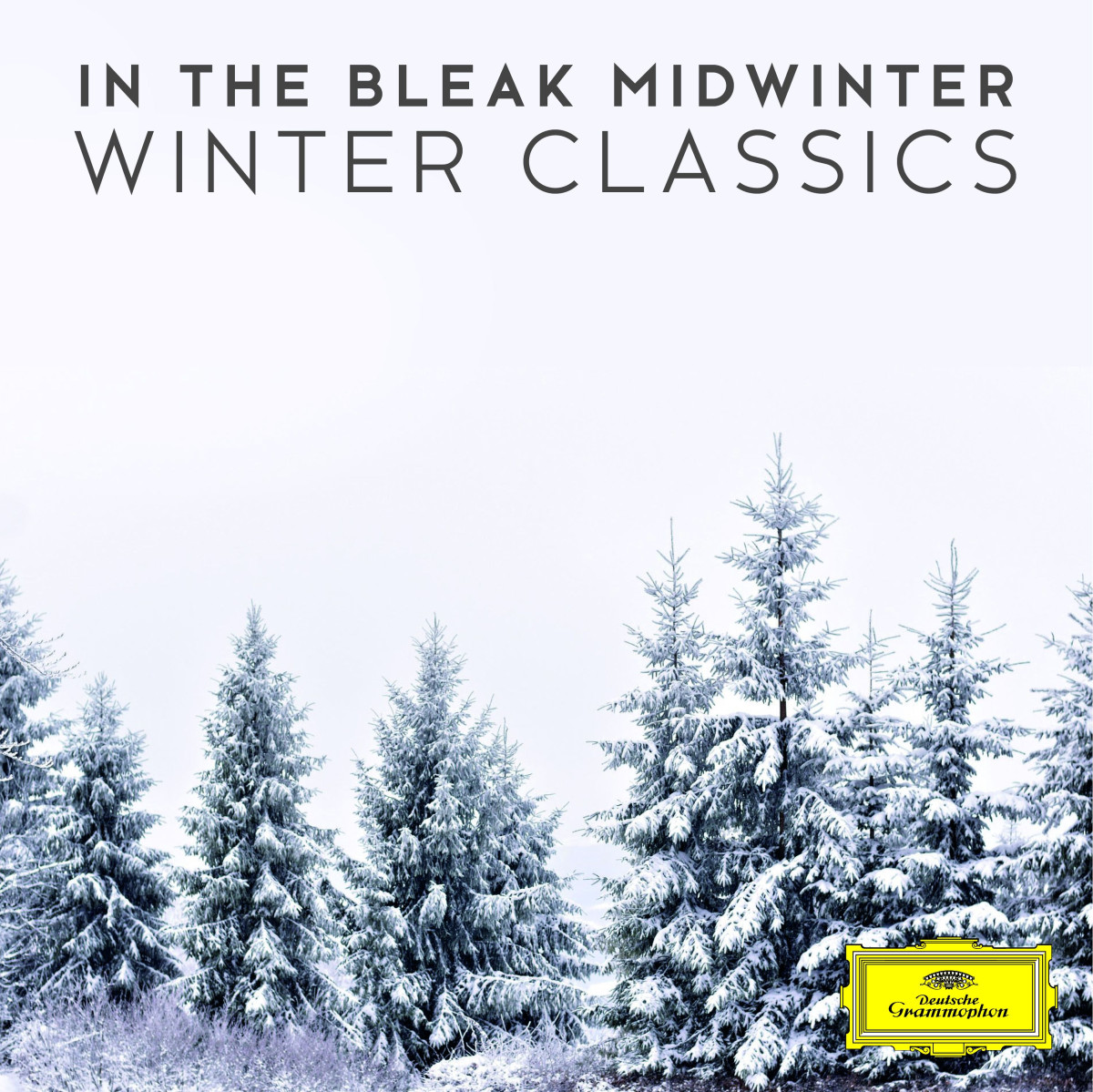 IN THE BLEAK MIDWINTER Winter Classics | Deutsche Grammophon
