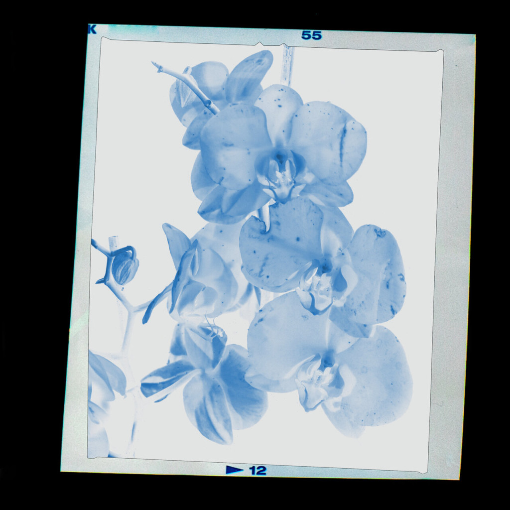 drift (ambient remixes) - Chad Lawson | grains