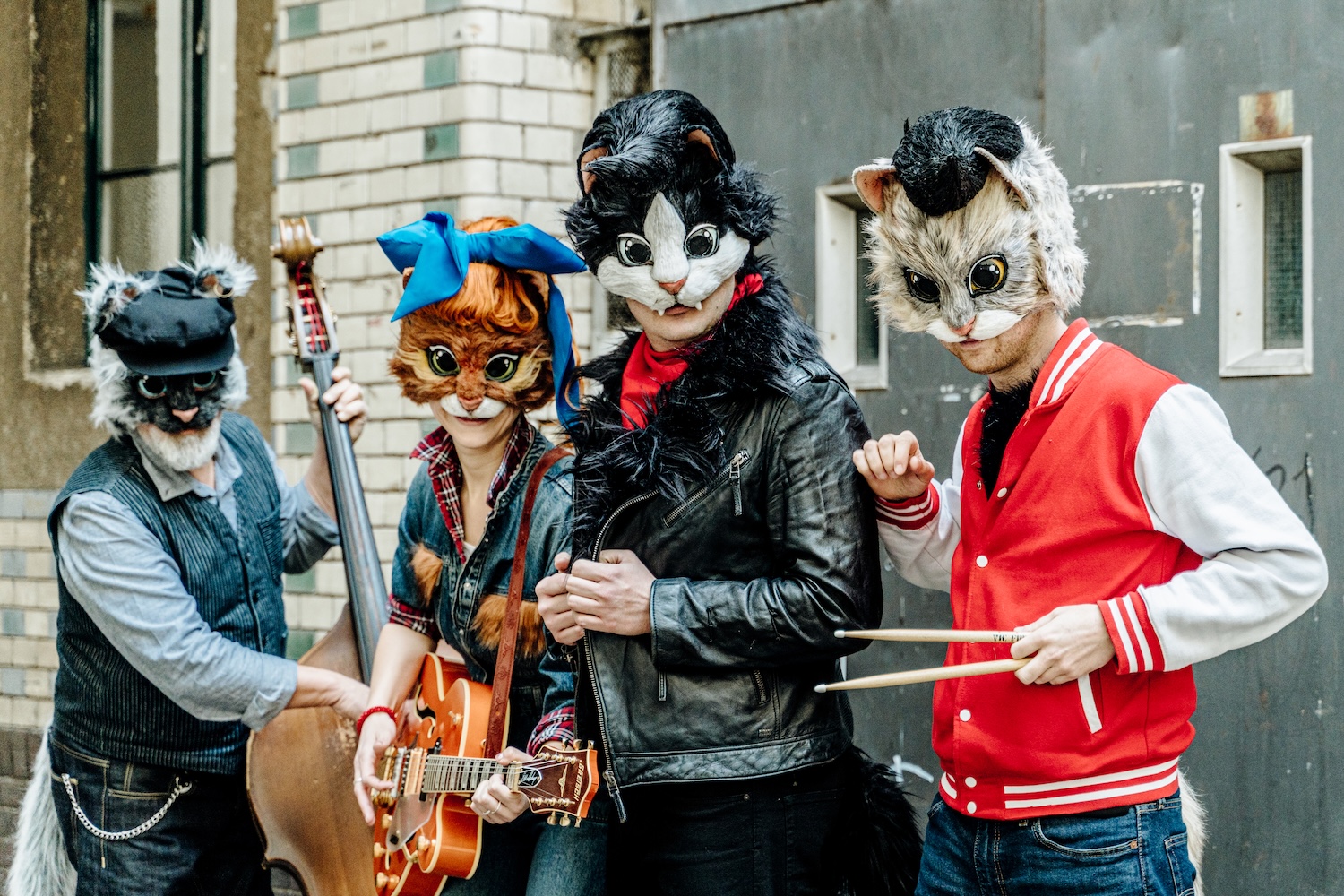 Various Artists | News | Wenn Elvis eine Katze wäre: Die Kool Katz ...