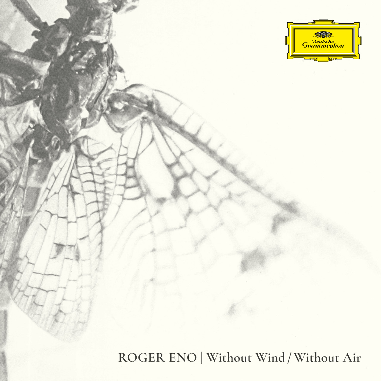 WITHOUT WIND, WITHOUT AIR Roger Eno | Deutsche Grammophon